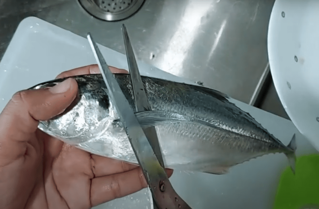Perempuan Tak Tahu Siang Ikan? Tak Perlu Malu! Jom Baca 5 Tips Mudah ...